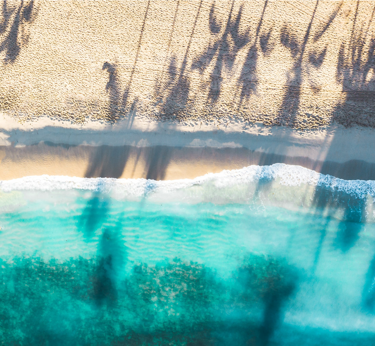 Wahi Hawaii - Your go-to destination for ocean-friendly alternatives ...